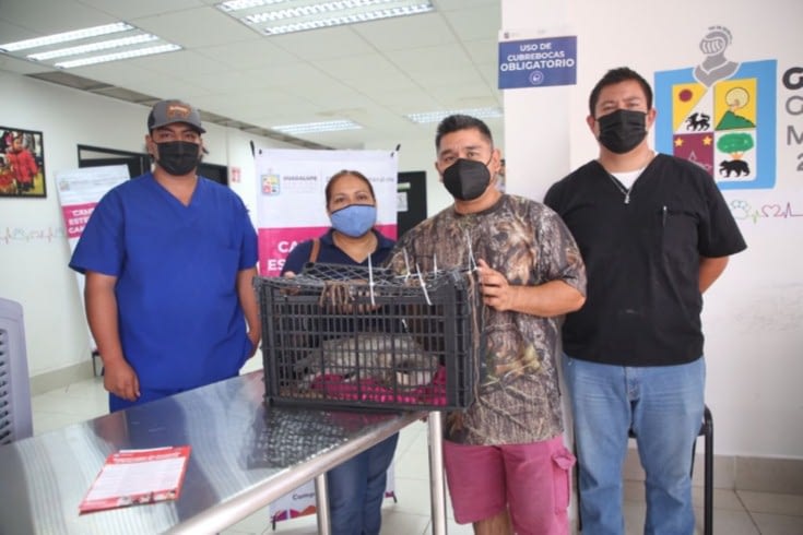 Promueve Guadalupe CampaÑa De EsterilizaciÓn De Mascotas Misión
